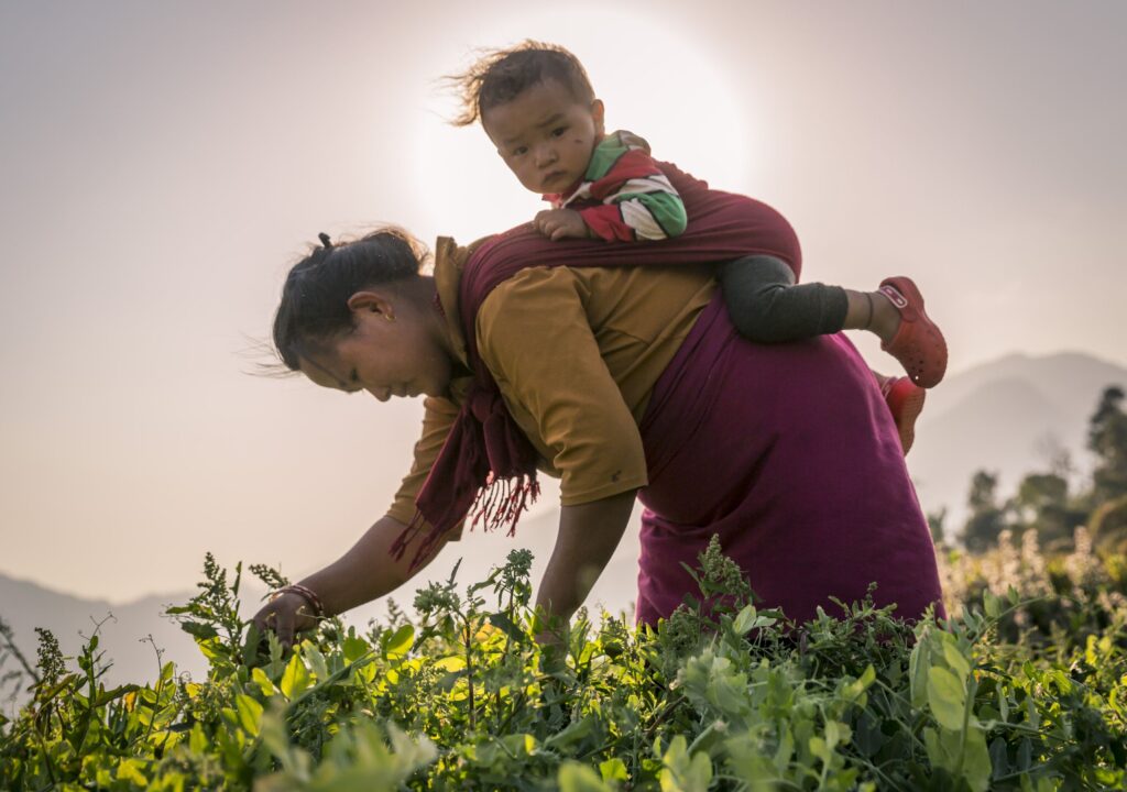 Livelihoods and Food Security - PrepareCenter