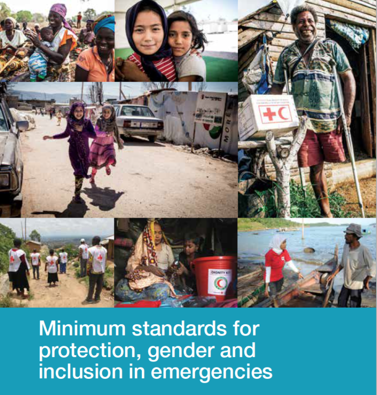Minimum standards for protection, gender and inclusion in emergencies ...