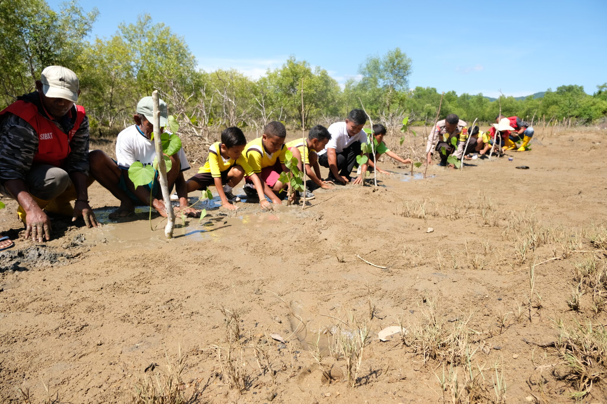 Nature-based Solution for River basin and Coastal Risk Resilience ...