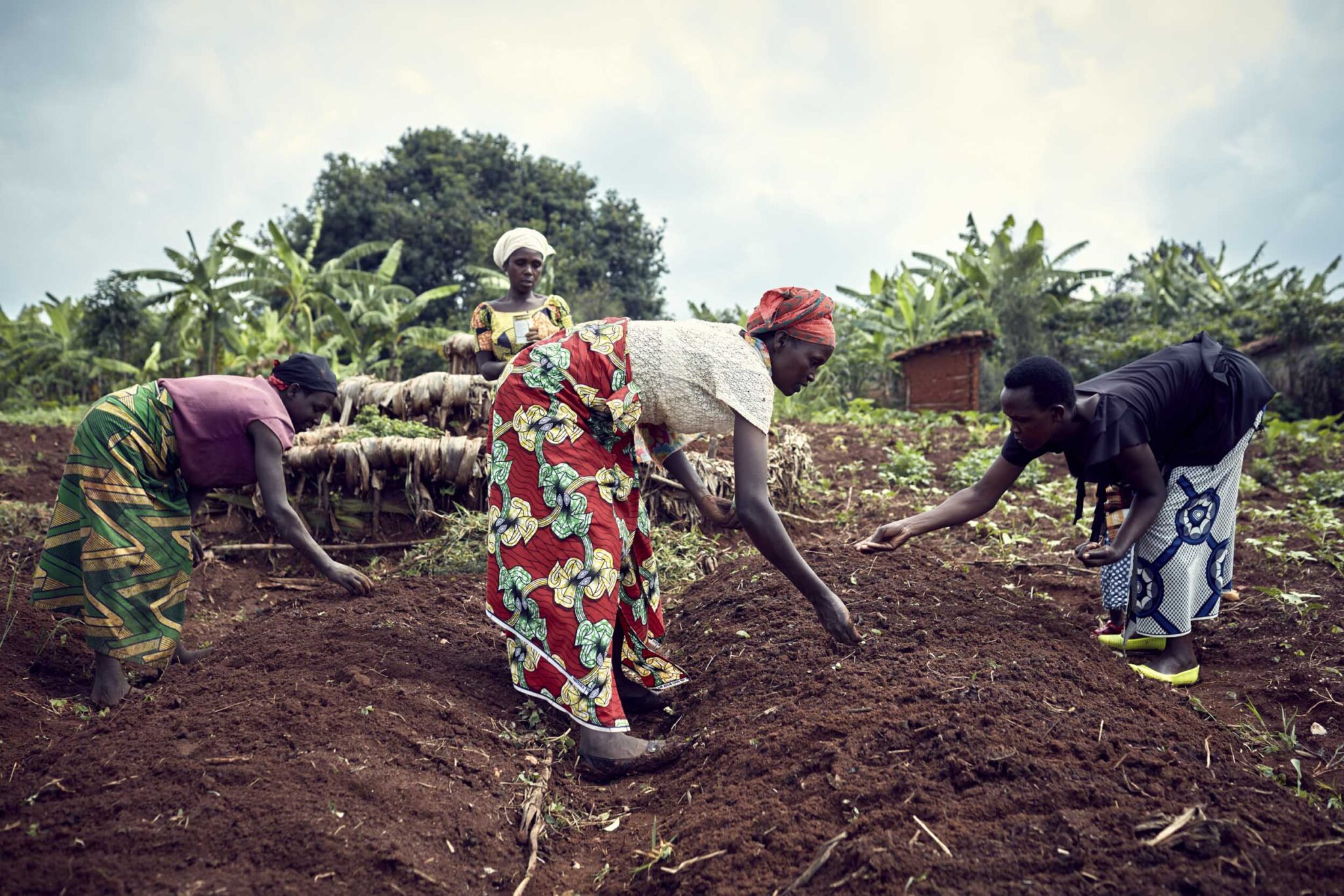 Building a Resilient Future: 20+ Tools and Resources for Disaster Risk Reduction - PrepareCenter