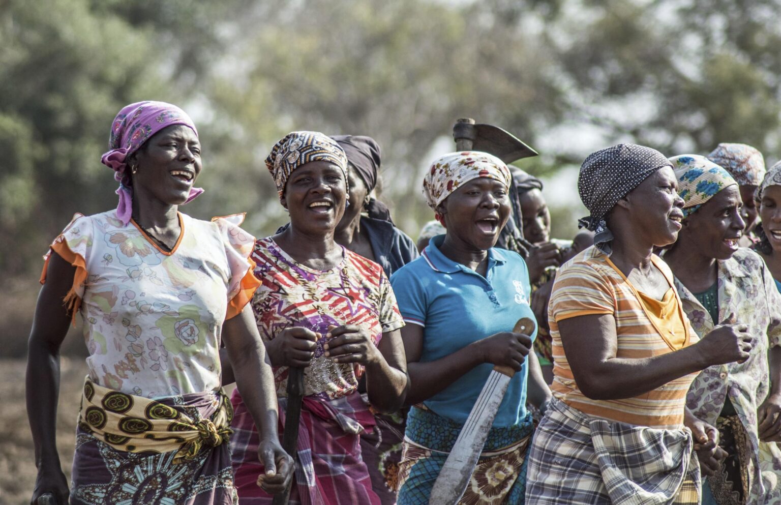 Building a Resilient Future: 20+ Tools and Resources for Disaster Risk ...